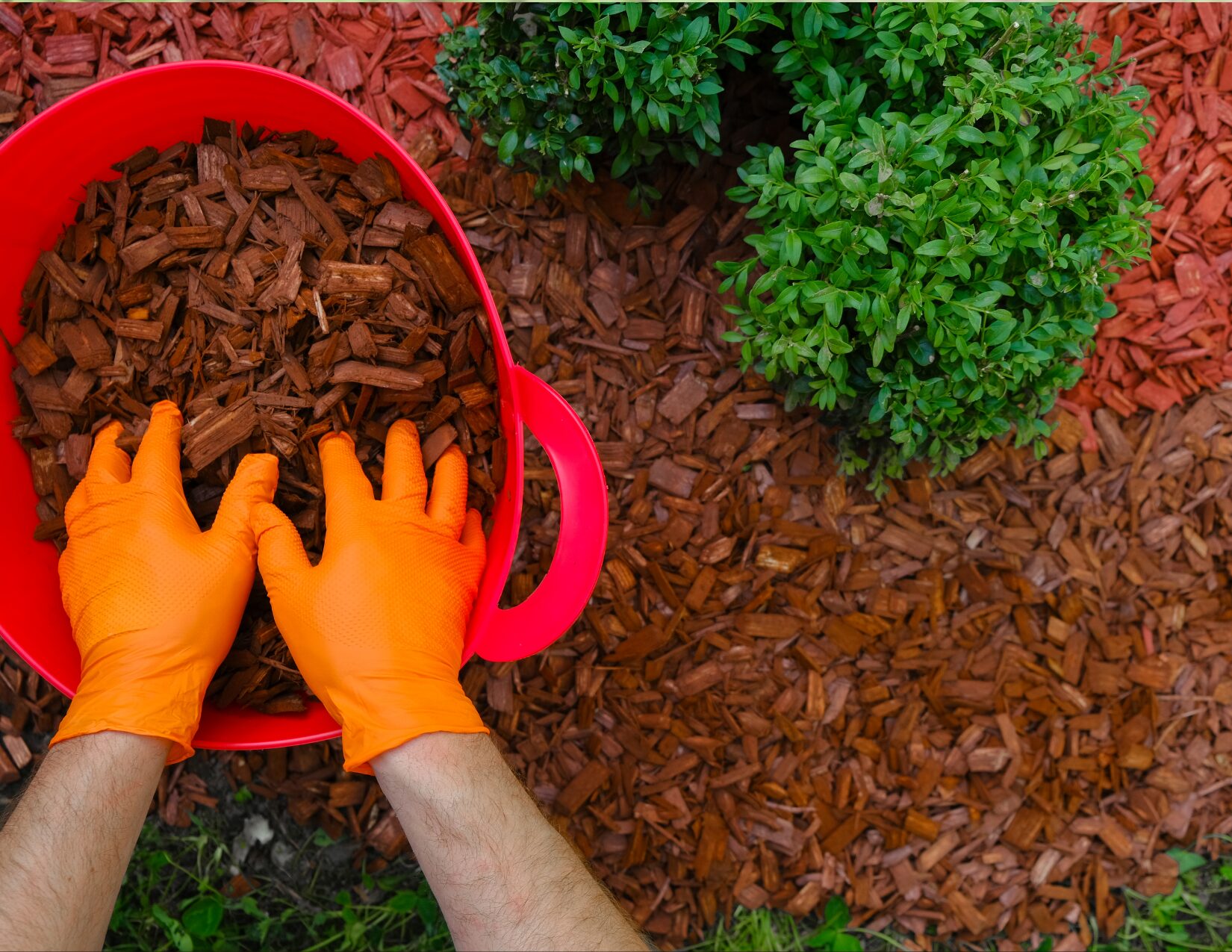 Mulch Installation - Albright Landscaping, Inc. Parrish, FL - Serving ...